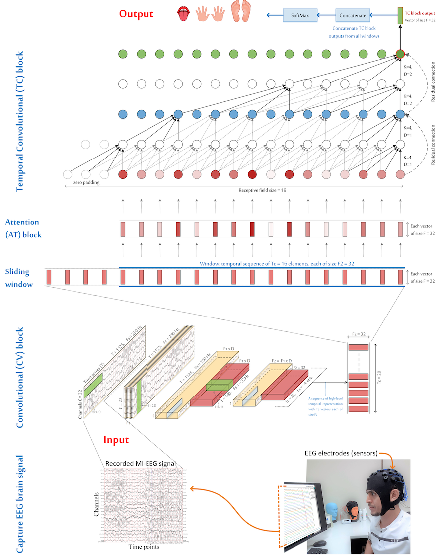 GitHub - mxrtin-beep/eeg-transformer